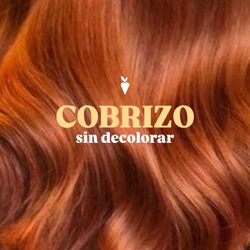 Tinturas, tintes y tonos cobrizos vibrantes – Abril Guerra