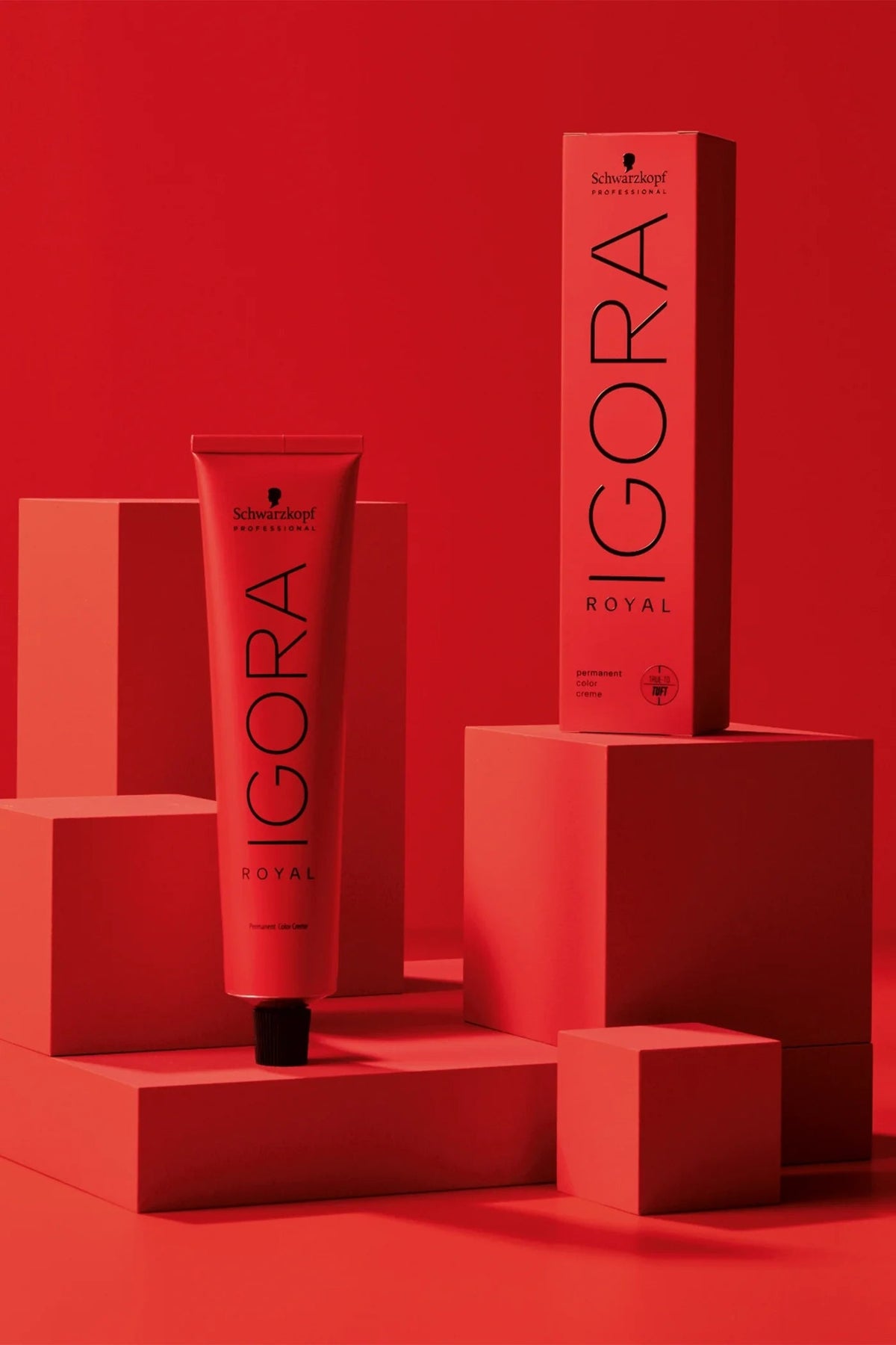 Igora Royal Colores – Abril Guerra